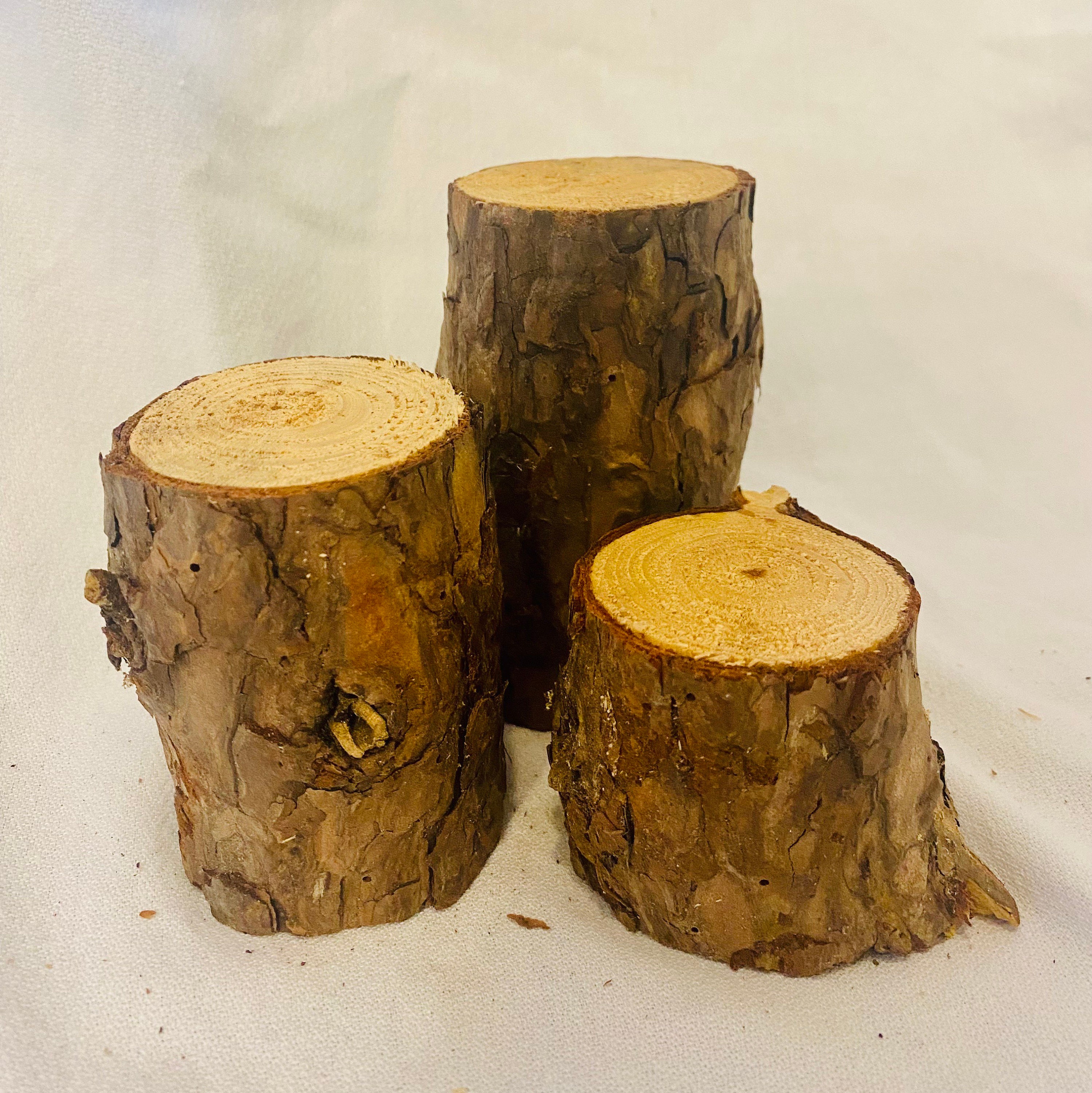 Rustic Pine Wood Log Stumps Set of 3 Rustic Wood - Etsy