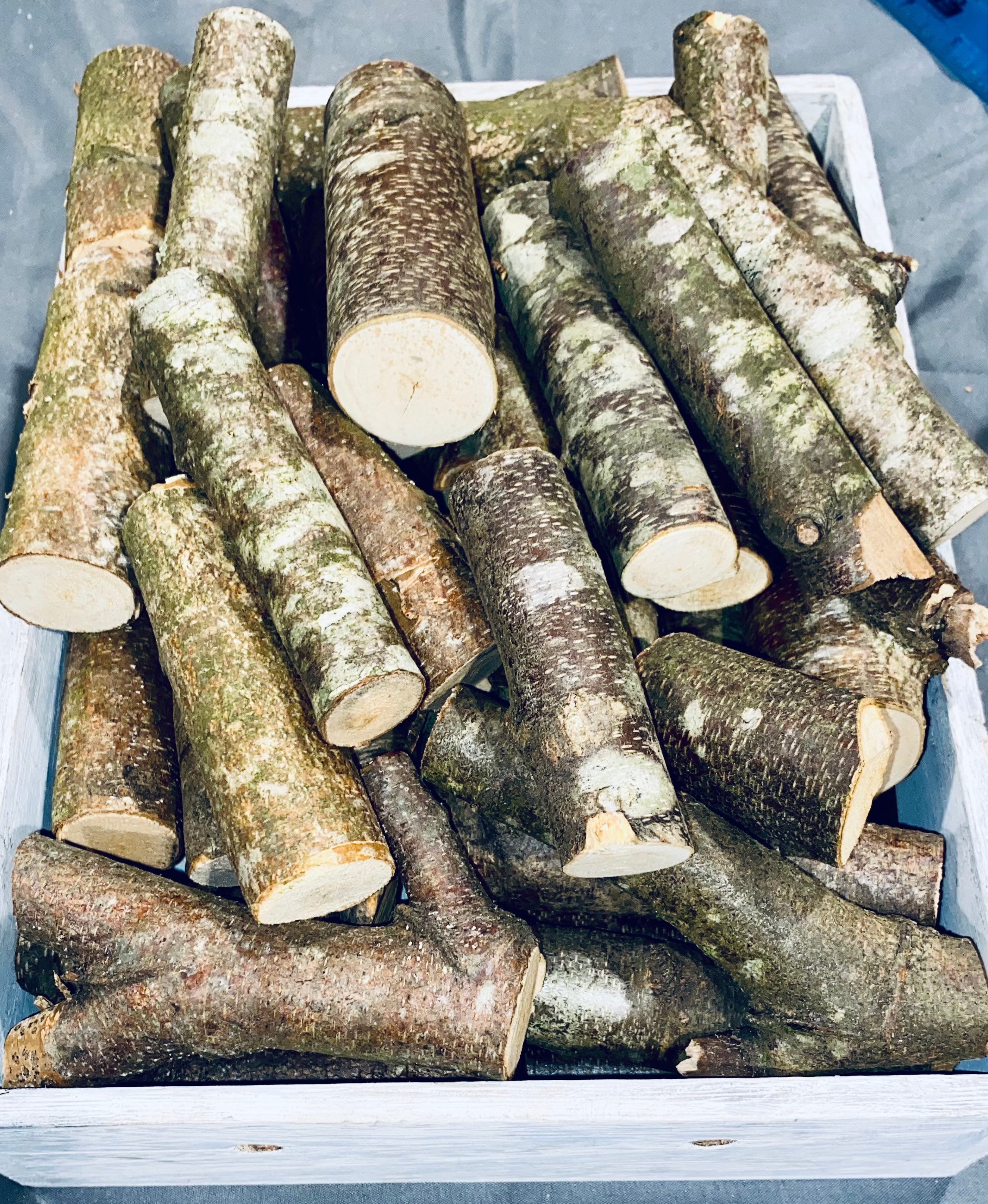 Mini Birch Tree Logs Bulk Over 25 Pieces - Etsy