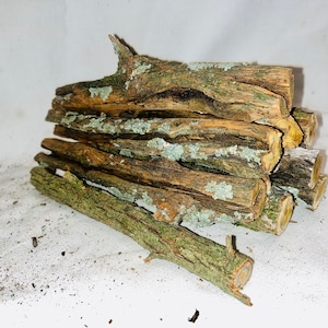 Small Osage Orange Logs - Set of 10 - Wood Sticks/logs -8” Length ...