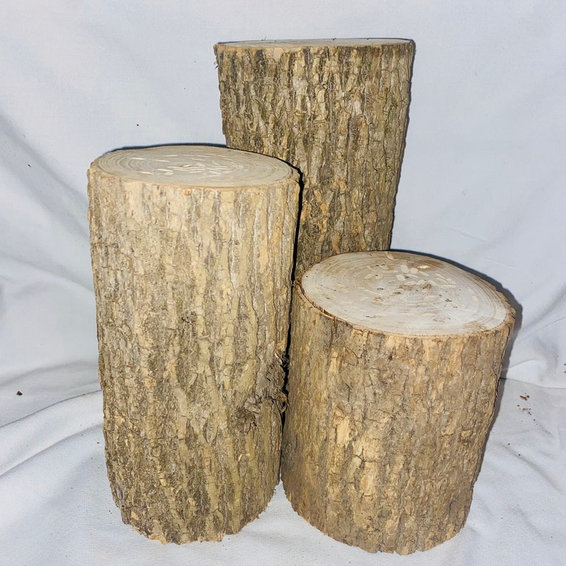 Rustic Wood Log Stumps Set of 3 Large Rustic Wood - Etsy