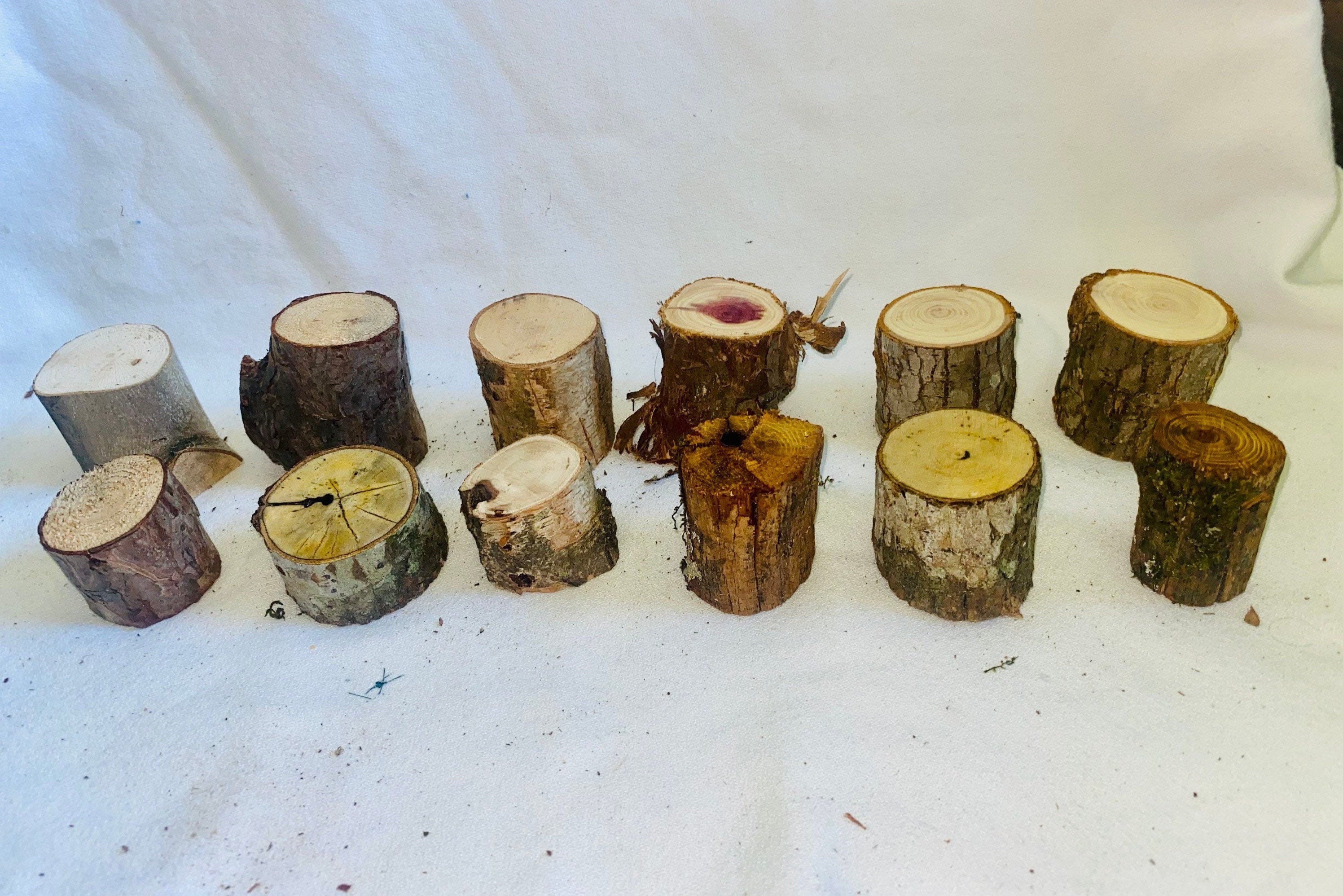 Mini Tree Stumps Set of 12 Assorted Small Wood Stumps - Etsy UK