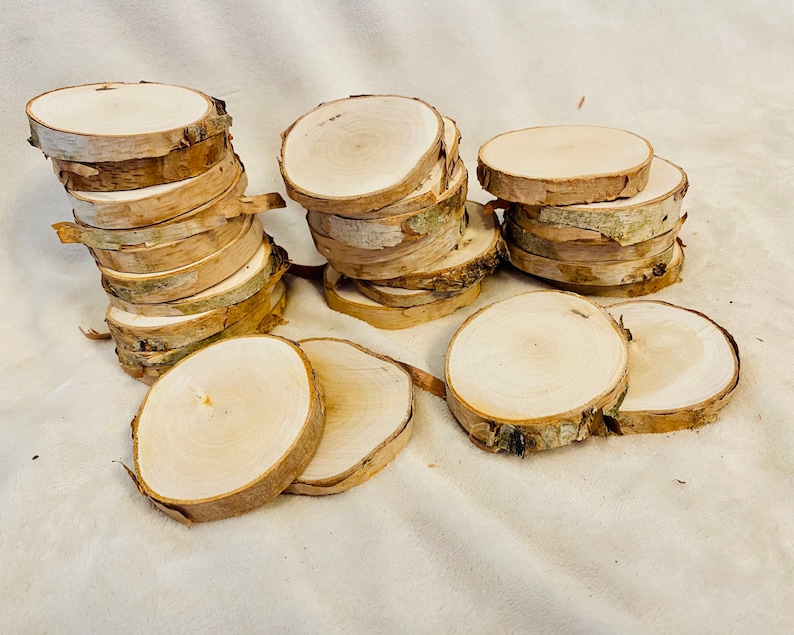 25 Birch Tree Slices 23 Diameter Rustic Wedding Wood | Etsy