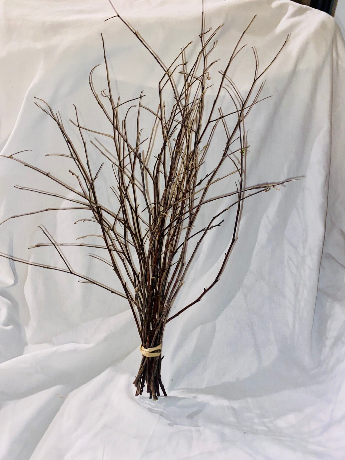 Extra Long Birch Twigs 25 Long Bundled Birch Twigs 20 to | Etsy