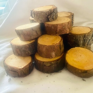 Natural Pine Slices With Bark - Set of 20 - 1” Thick- 2-3” Diameter ...