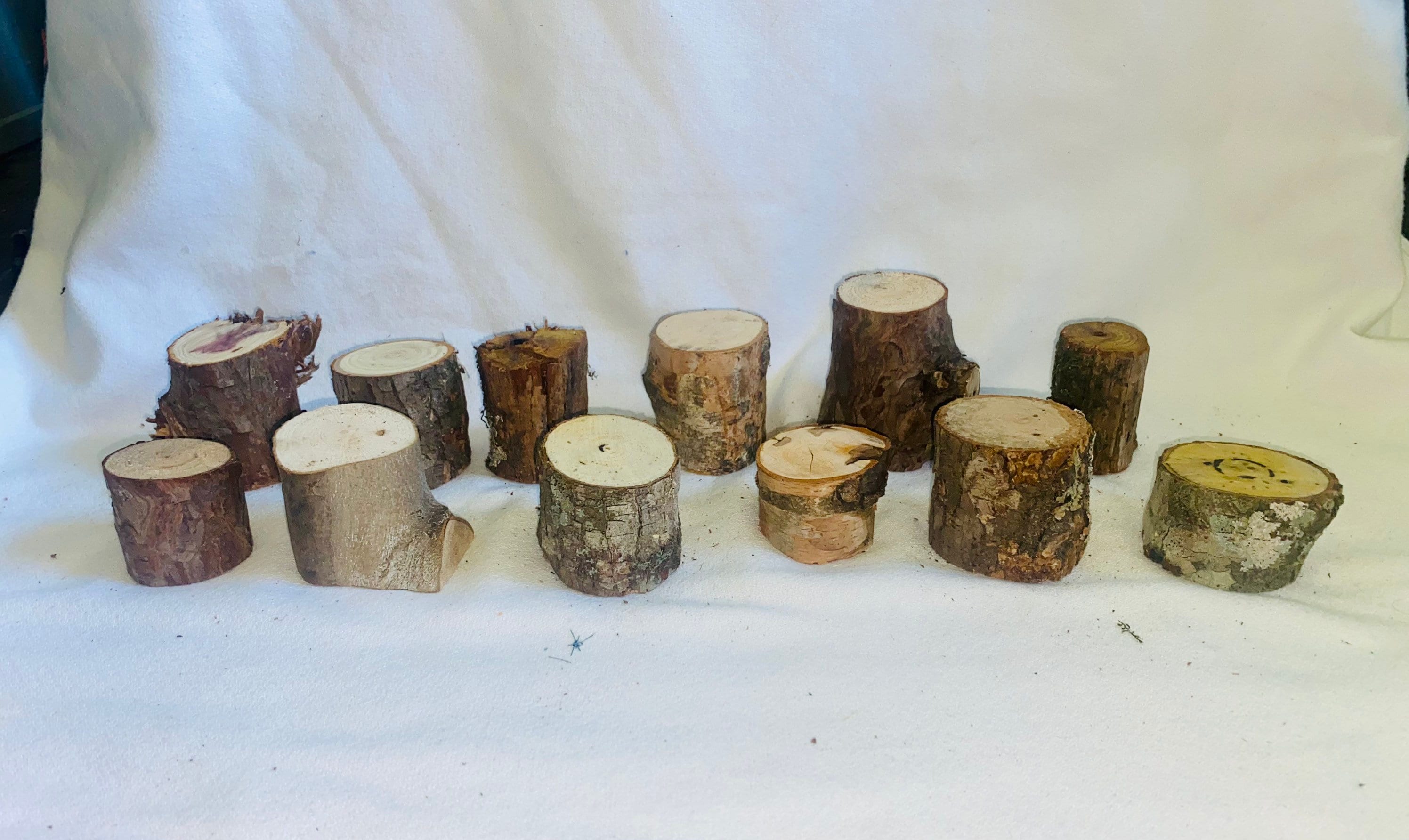 Mini Tree Stumps Set of 12 Assorted Small Wood Stumps - Etsy UK