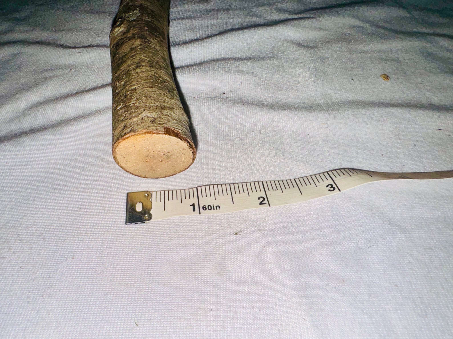 Natural Birch Limbs (set of 2): 50" Craft Sticks, Birch Rods - Etsy