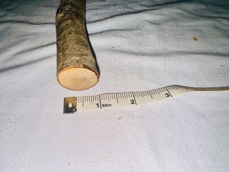 Natural Birch Limbs (set of 2): 50" Craft Sticks, Birch Rods - Etsy