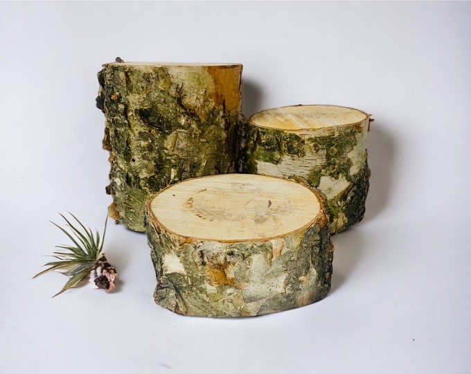 Rustic Cedar Stumps Set of 3 Live Edge Rustic Cedar Risers Wedding ...