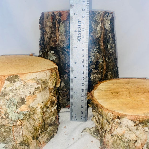 Home Improvement Home & Living Fairy garden decor rustic wedding Double ...