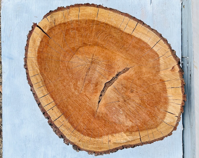 19” Cherry Tree Slice - Large Tree Slice- Rustic Wood Cake Stand ...