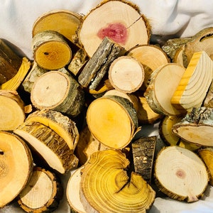 Assorted Wood Pieces: 75+ Small Scrap Wood Chunks - Etsy