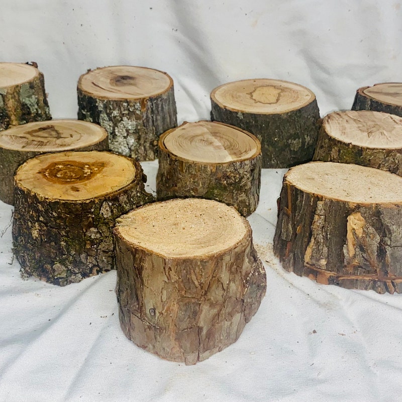 Oak Wood Stump - Etsy