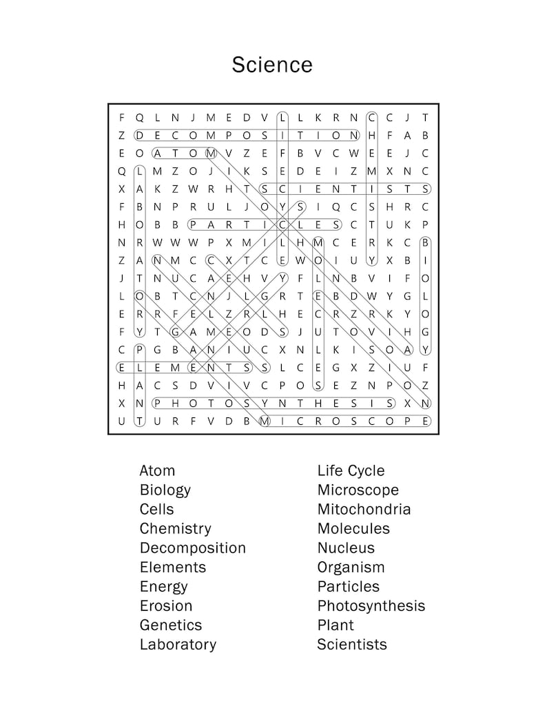 Science Word Search - Etsy
