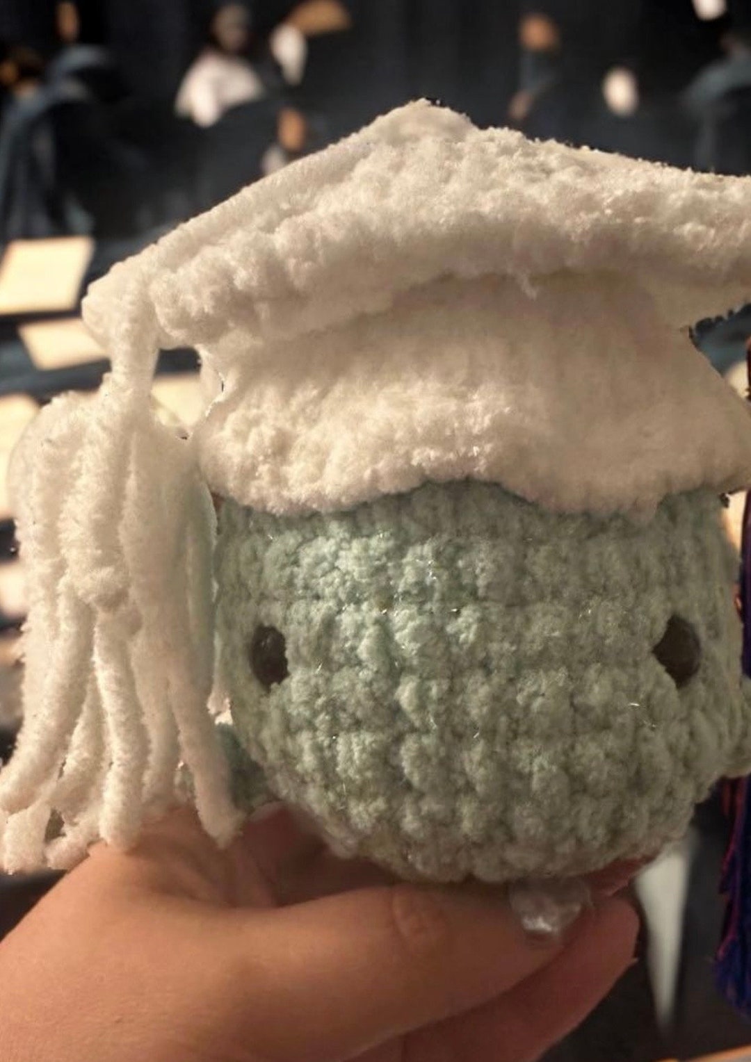 Graduation Squish - Etsy