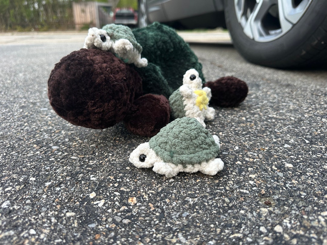 Turtle Matching Game - Etsy