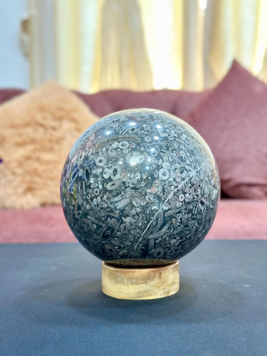 127mm Rare Fossil Sphere, Crinoid Sphere, Orthoceras Sphere, Gastropod ...