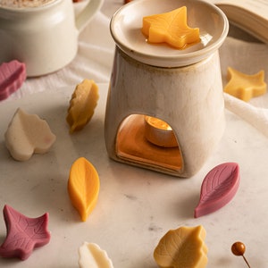 Autumn Coloured Soy Wax Melts / Autumn 2024 Themed Wax Melts / Autumn ...
