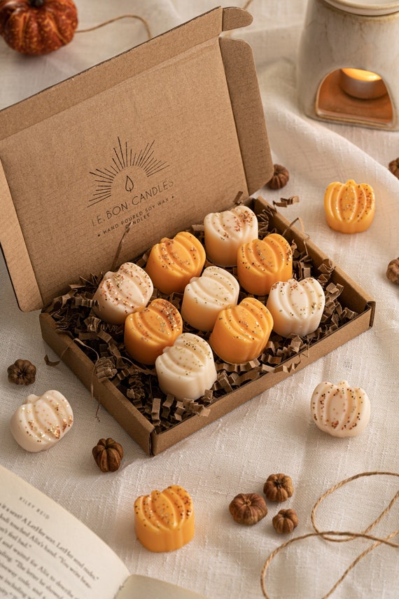 Pumpkin Wax Melts Autumn Wax Melts Pumpkin Spice Autumn Home Decor Fall Decor Autumn Scented Candle Halloween Wax Melts Gift Etsy UK