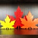 Maple Leaf Decor Fall Decor Autumn Leaves - Etsy