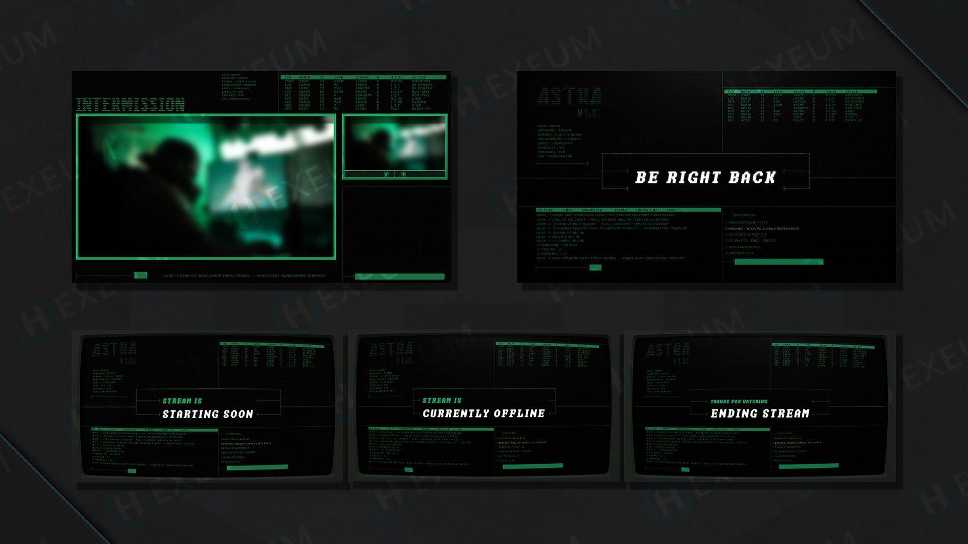 Retro & Hacker Animated Twitch Overlay Package : Webcam - Etsy UK