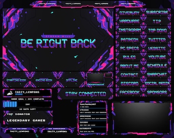 Retro Twitch Overlay - Etsy