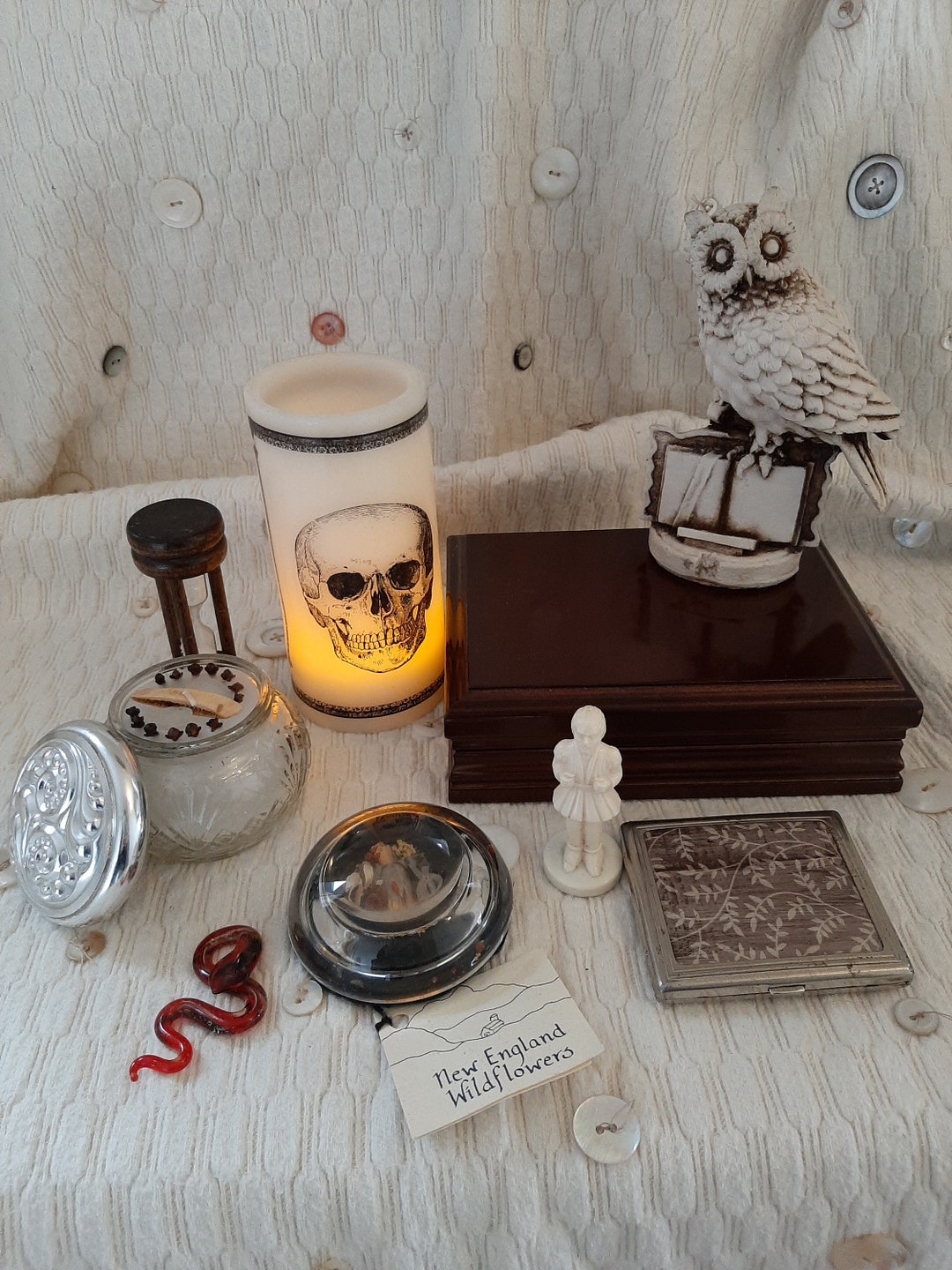 Curiosity, Oddity Box #13 A Collection of Curiosities and Oddities ...