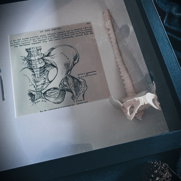 Gothic Medical - Etsy