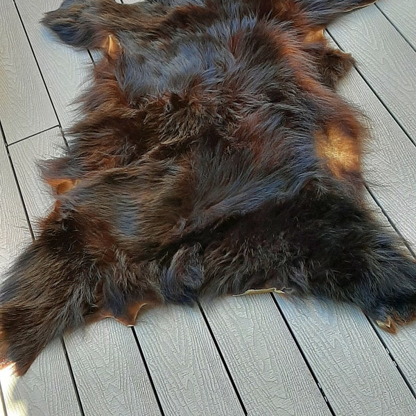 Bear Rug Real - Etsy