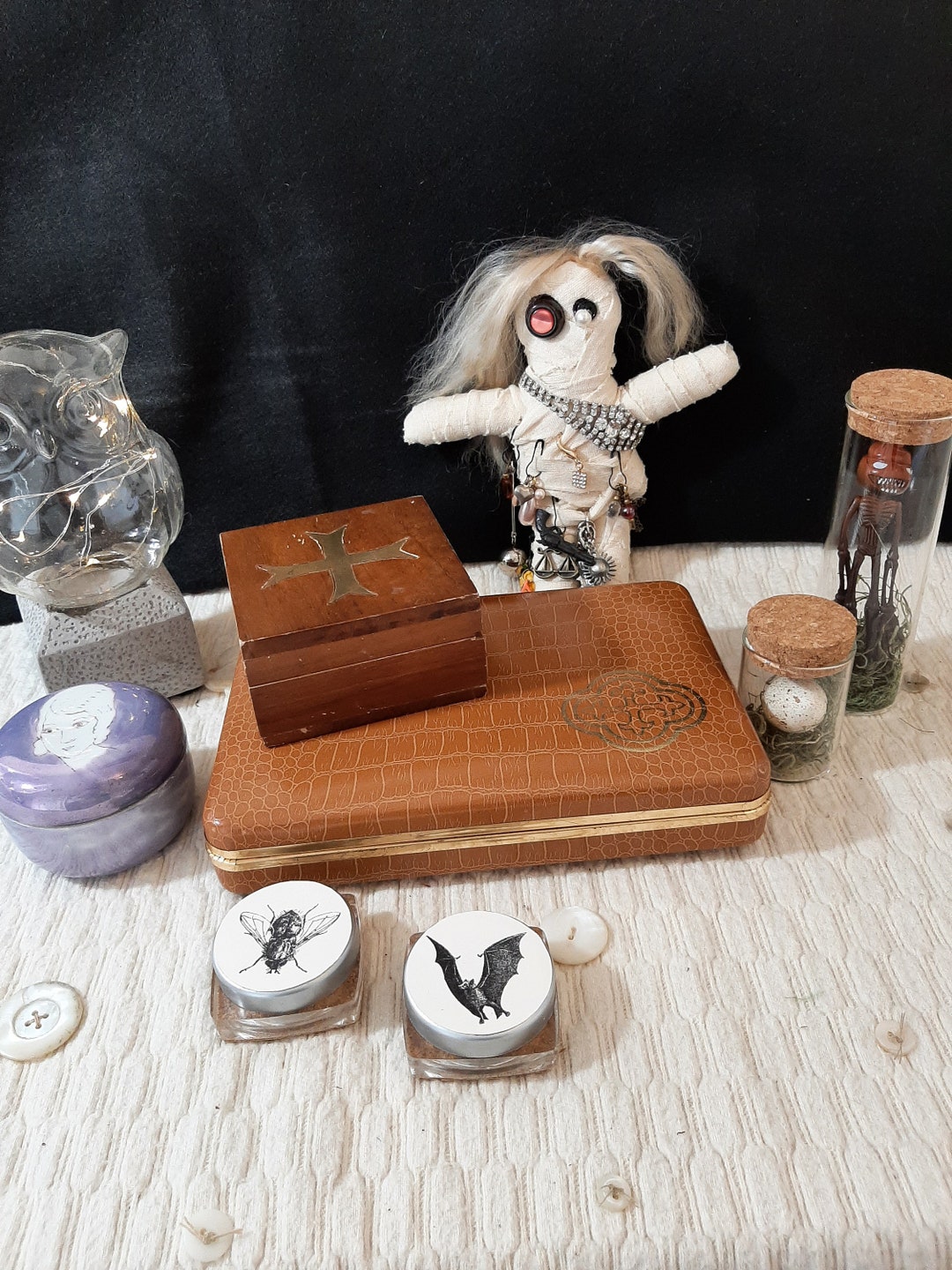 Curiosity, Oddity Box #10 A Collection of Curiosities and Oddities ...