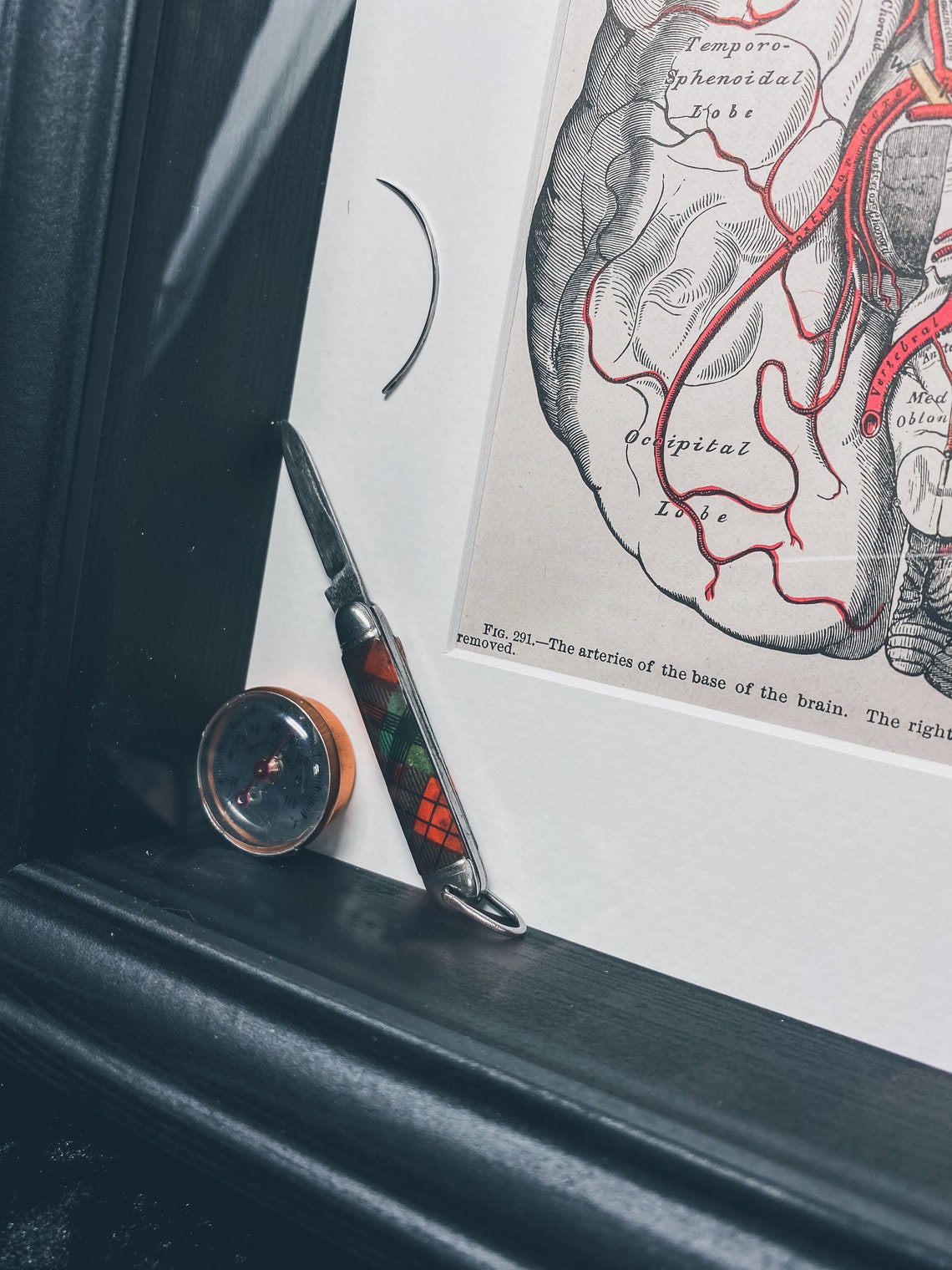 Authentic Surgical Needle & Human Brain Grey's Anatomy - Etsy