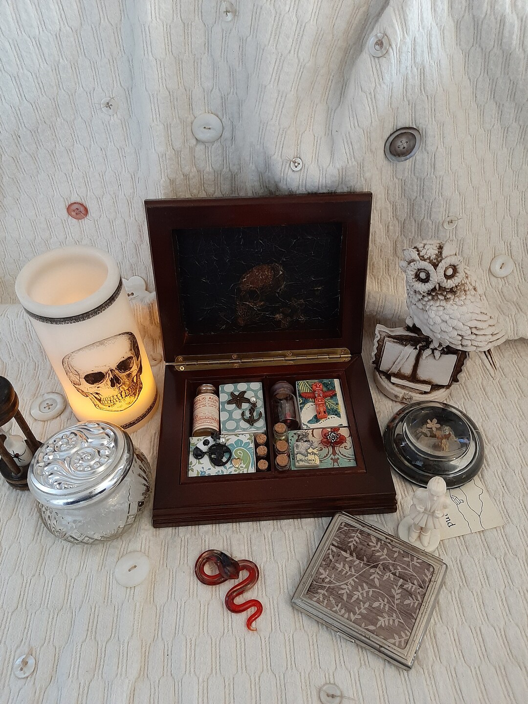 Curiosity, Oddity Box 13. A Collection of Curiosities and Oddities ...
