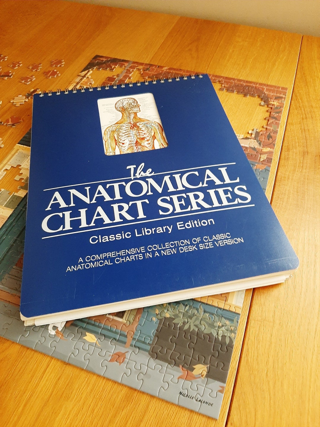 Authentic Anatomical Chart Series Classic Library Edition New Desk Size ...