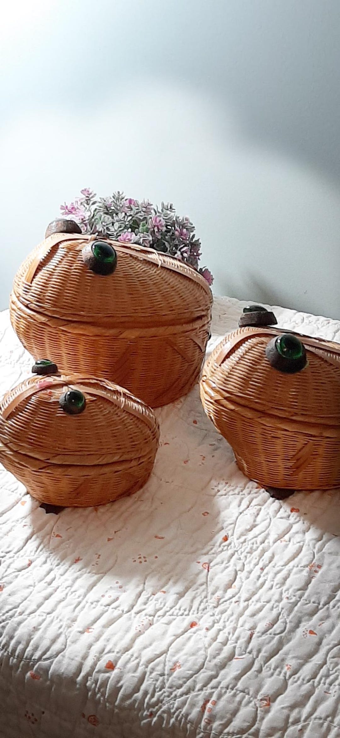 Set of 3 Frog Themed Wicker Baskets With Lids Glass Eyed Wicker Frogs ...
