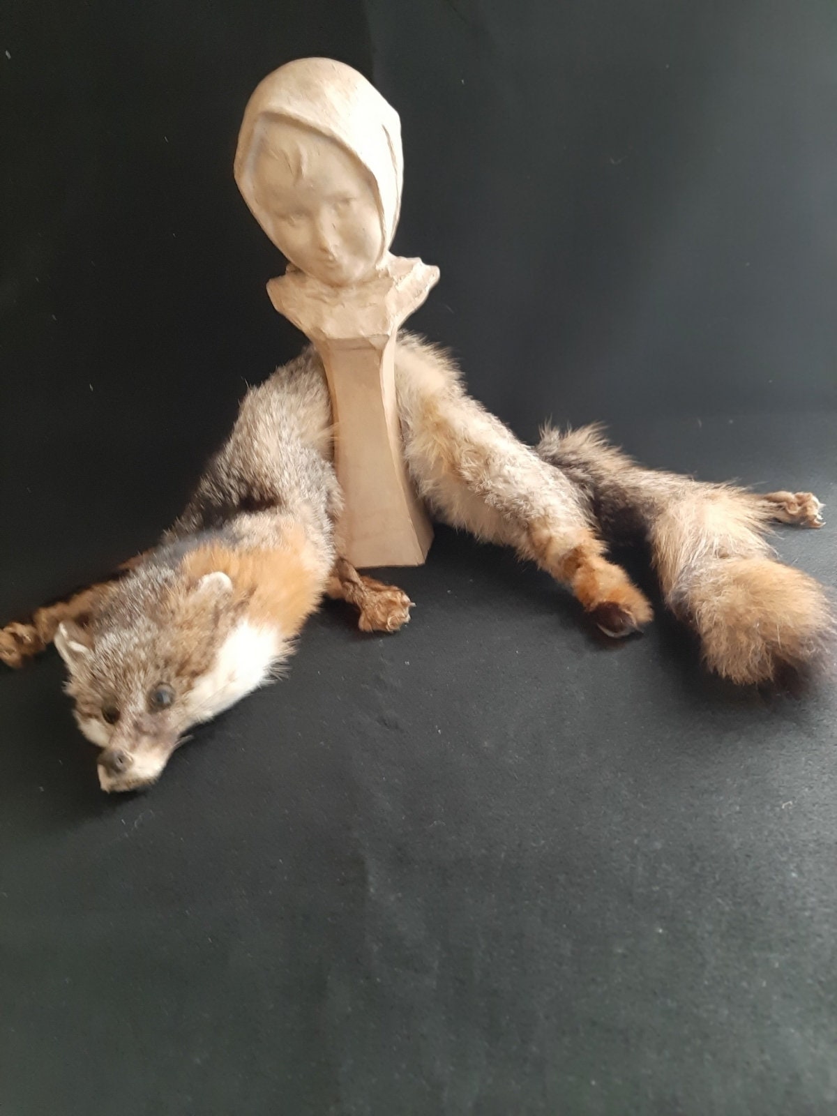 Bad Taxidermy Fox Gif