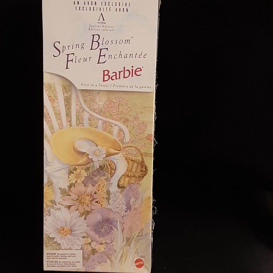 Authentic Barbie Doll in Original Box. 1995 Spring Blossom Barbie ...