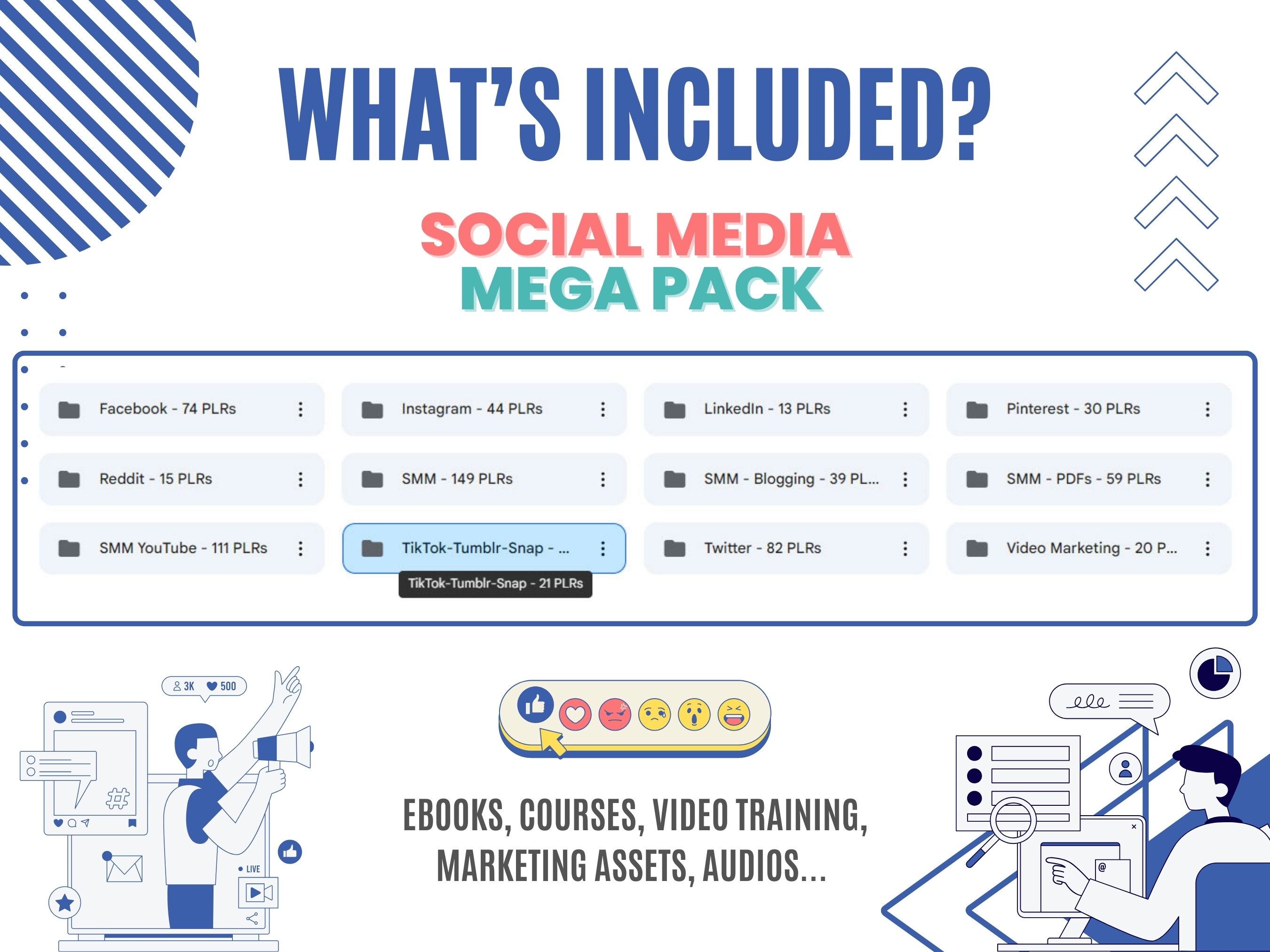 600 PLR Courses, Huge Bundle for Social Media Marketing Mega Pack ebooks, Courses, Video ...