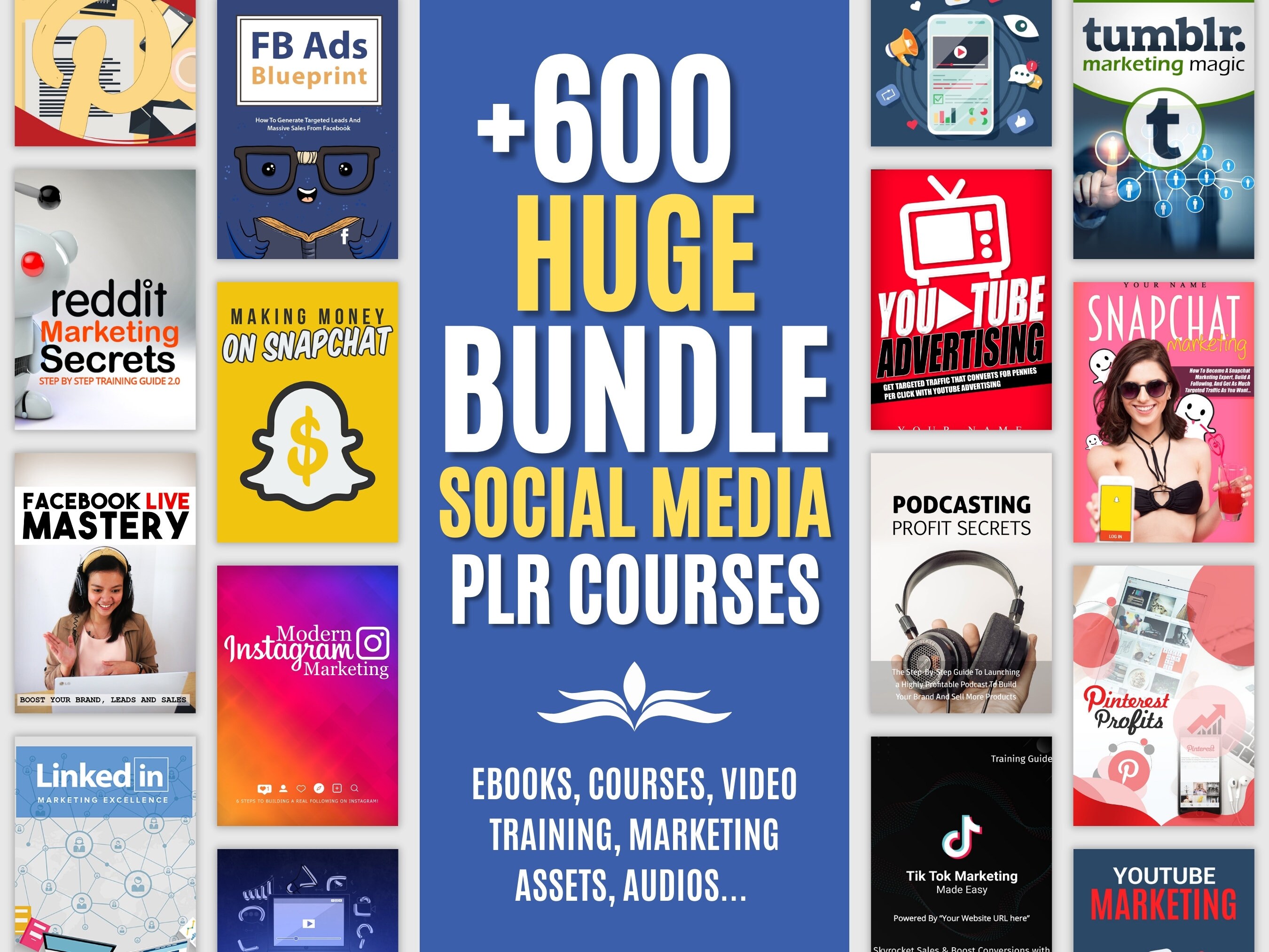 600 PLR Courses, Huge Bundle for Social Media Marketing Mega Pack ebooks, Courses, Video ...