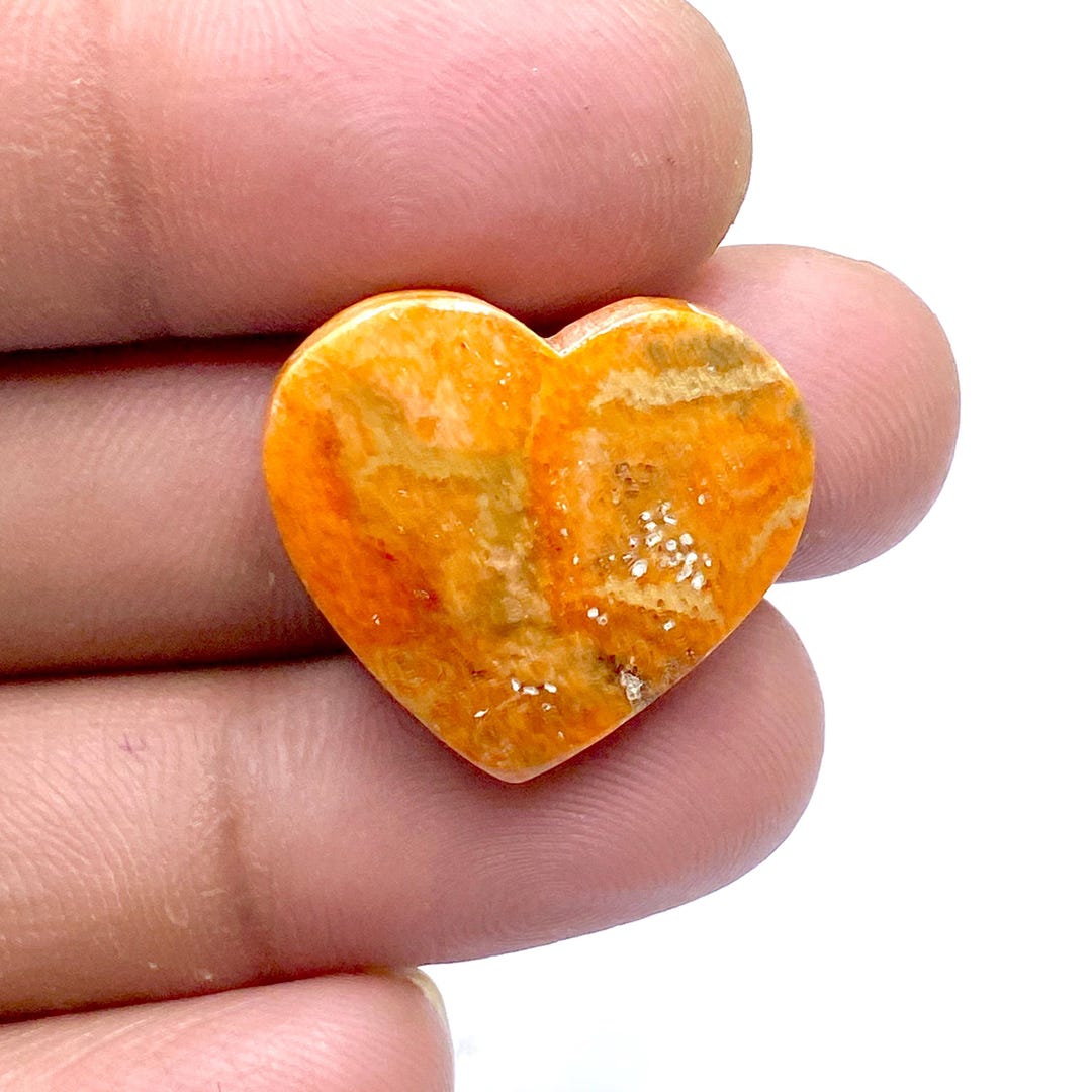Beautiful Apple Coral Composite Turquoise Cabochon - Sponge Coral ...