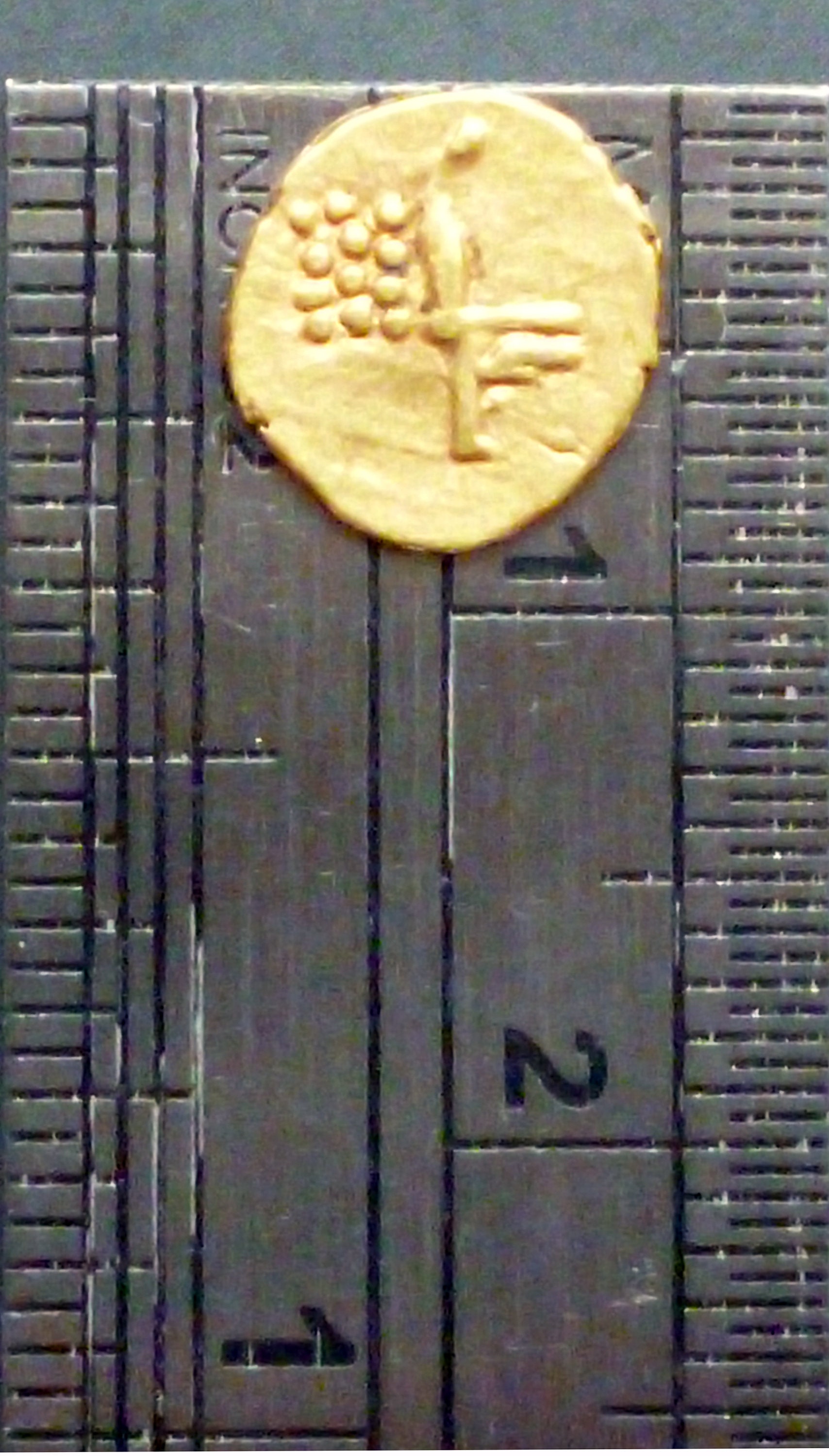 Gold Fanam Vira Raja Type Independent Kingdoms Princely - Etsy