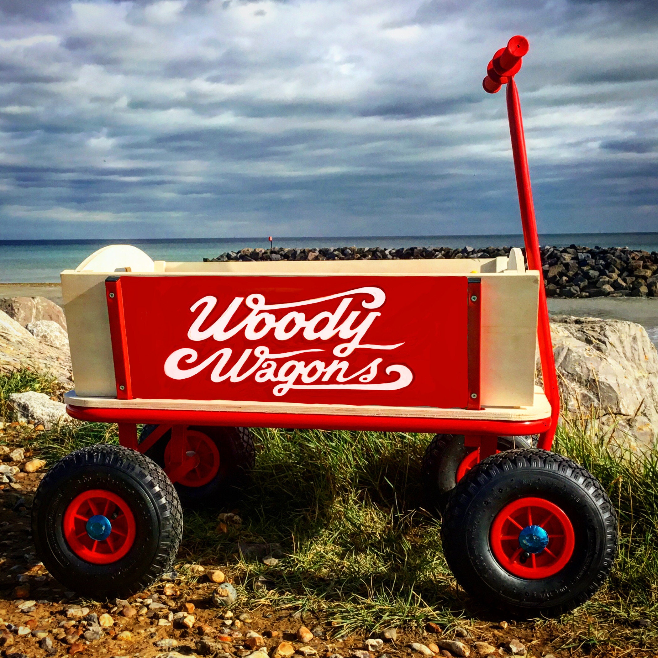 Custom Kids Wagon