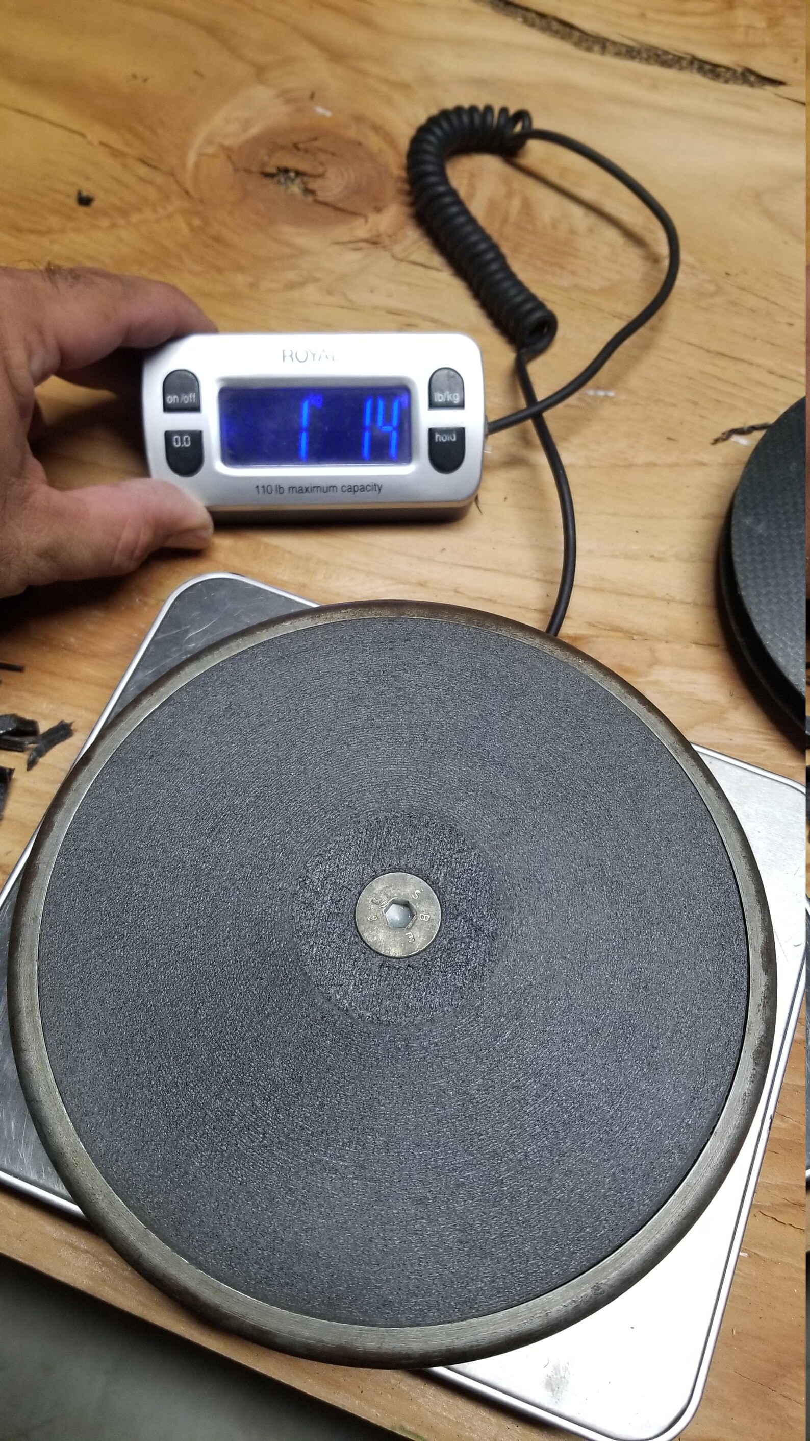 Replacement Discus Plate(1)(most Brands) - Etsy