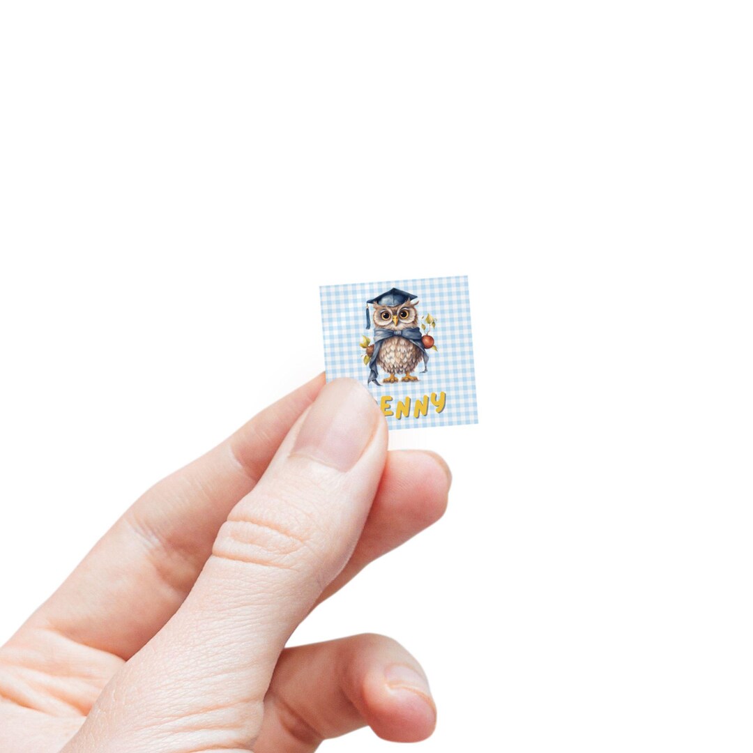 Personalized Graduation Owl Sticker Labels: Party Favors, Gifts - Etsy