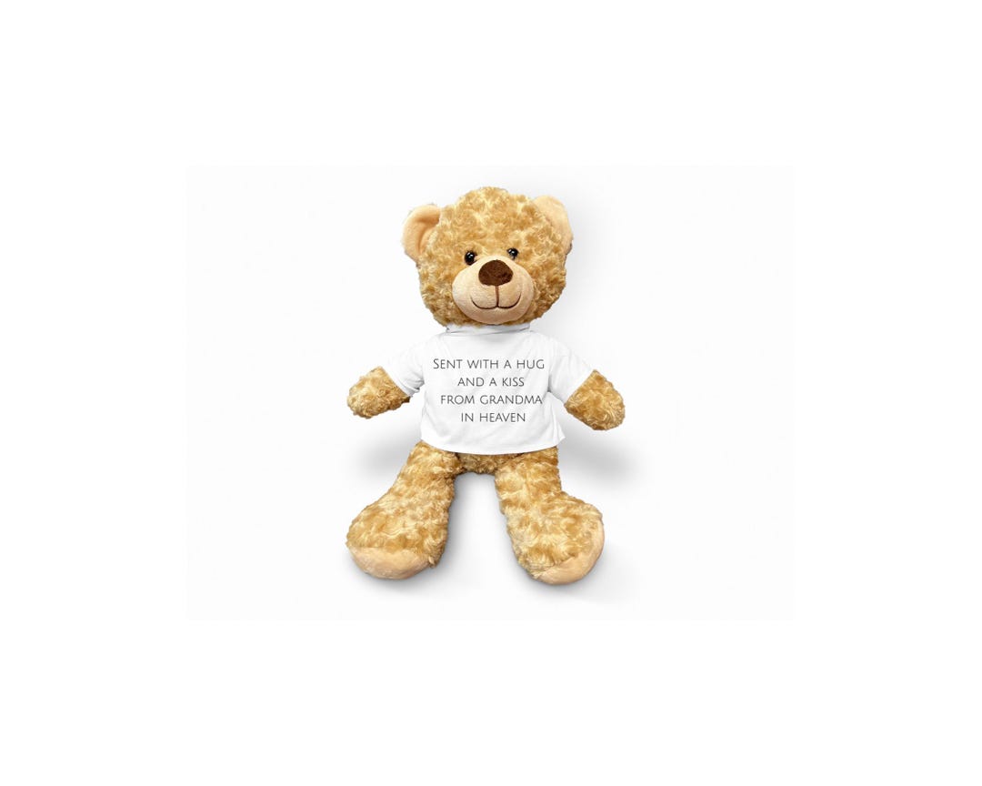Memorial Teddy Bear: "hug From Heaven" Bereavement Gift, Missing ...