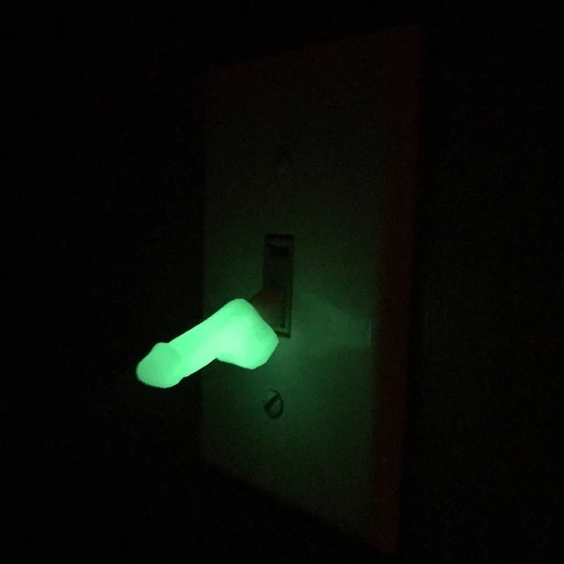 Set of 2 Novelty Light Switch Caps Penis With Balls Prank - Etsy
