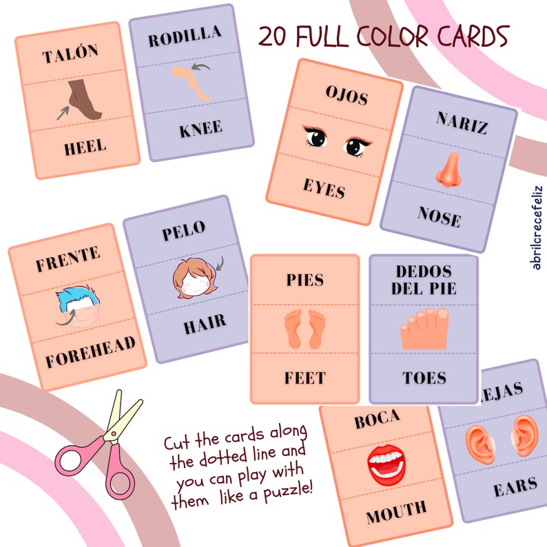 Aprende Las Partes Del Cuerpo Material Didáctico En Cartas - Etsy