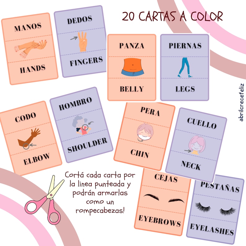 Aprende Las Partes Del Cuerpo Material Didáctico En Cartas Etsy