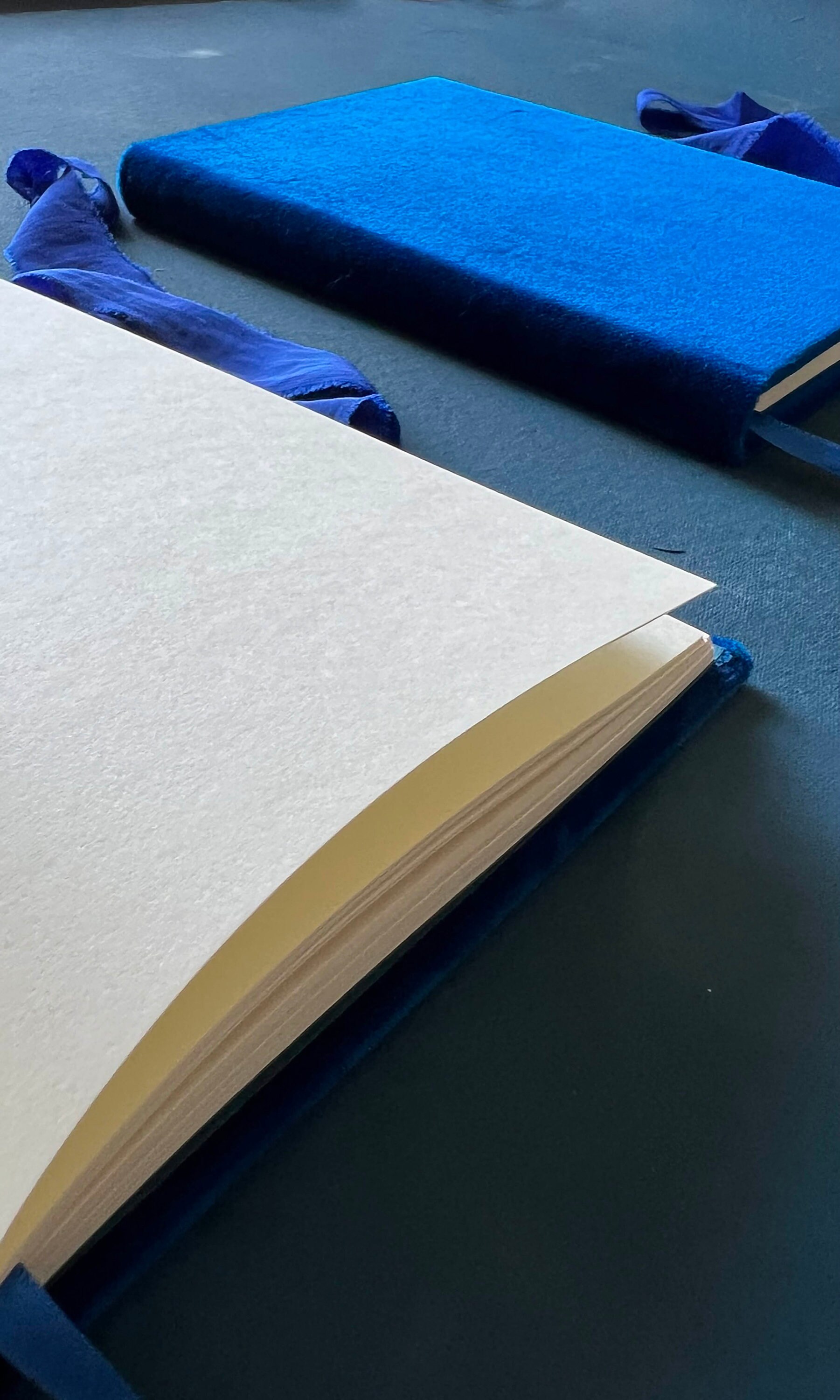 Blue Velvet Journal/velvet Notebook/journal/personalized Diary/ Hard ...