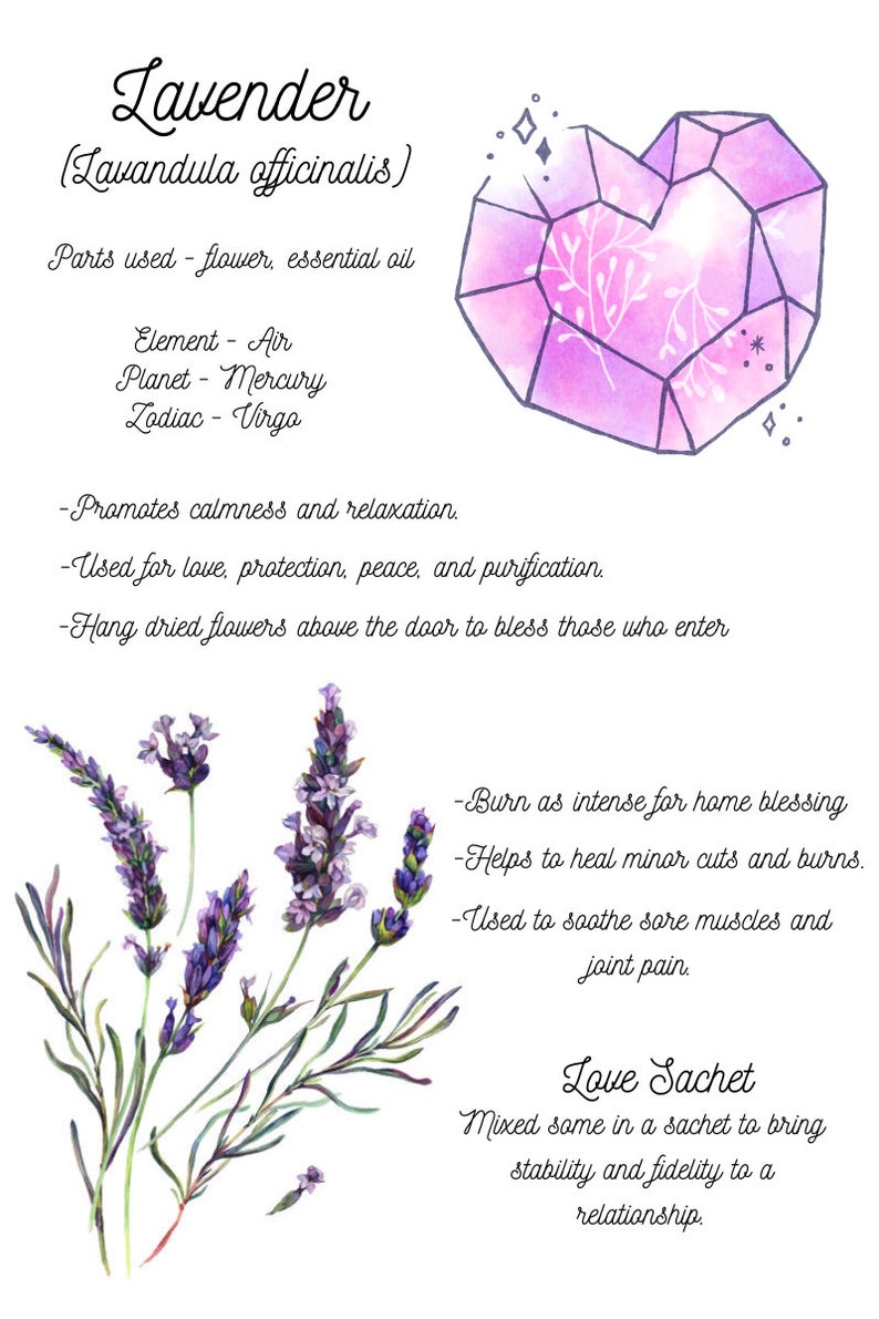 Lavender Premade Grimoire Page Herbal Book of Shadows - Etsy