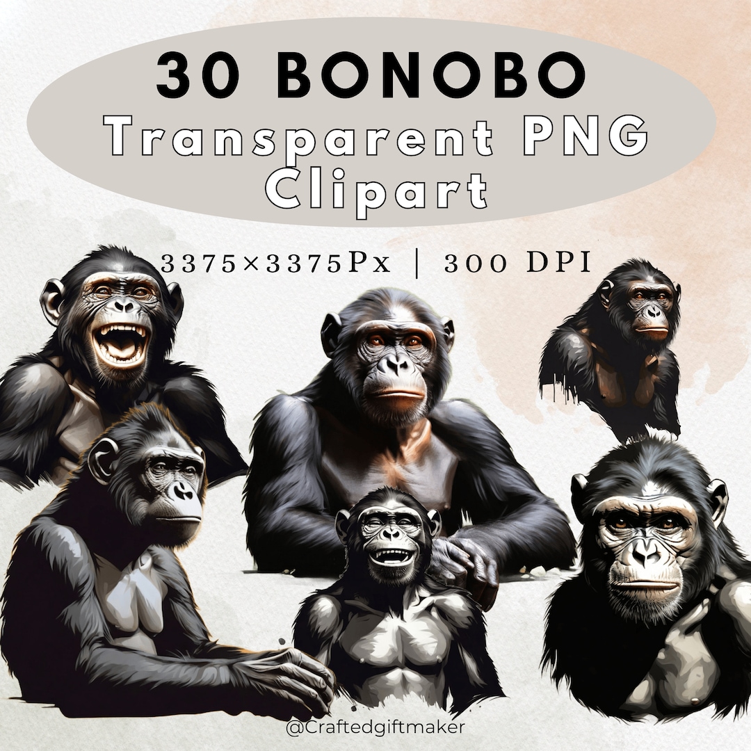 30 Bonobo Ape Watercolor Clipart Illustrations PNG & SVG Format ...
