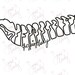 Spine Line Drawing Spine Art Anatomy Art - Etsy